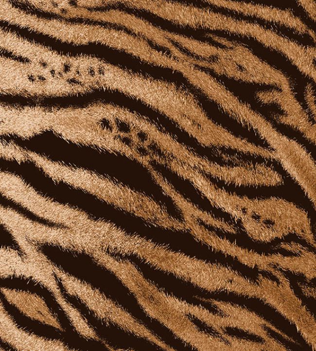 Tiger Fabric in Classic by Arley House | Jane Clayton