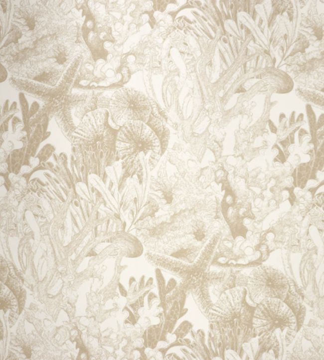 Toile Sealife In/Outdoor FR Fabric in Linen by Aldeco | Jane Clayton