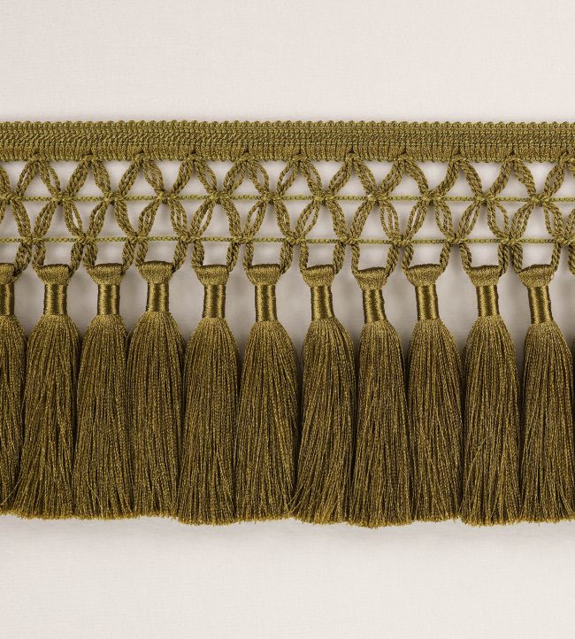 Trellis Fringe Trimmings in Olivette by Temperley London for Romo ...