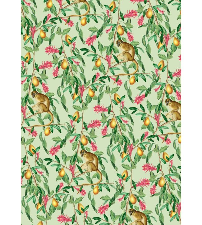 Tropical Monkey Wallpaper mural in Green by Creative Lab | Jane Clayton