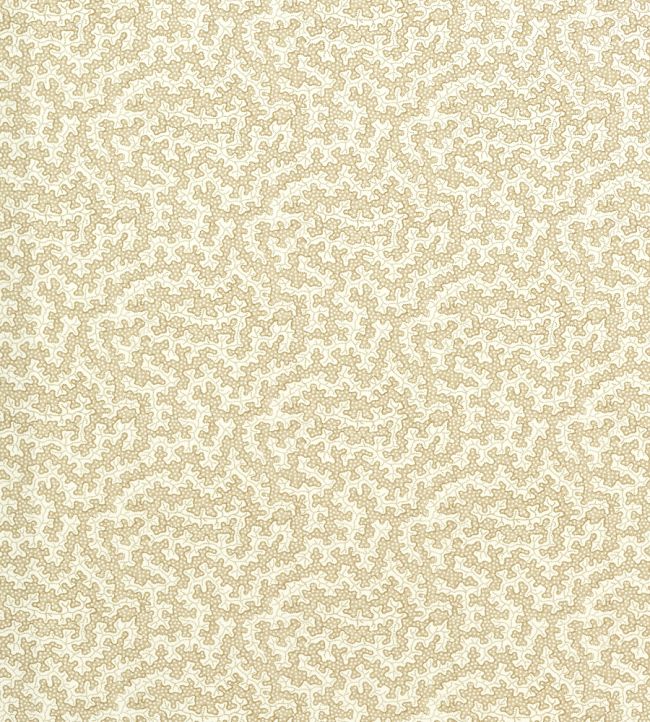 Truffle Outdoor Fabric in Sand Dollar by Sanderson | Jane Clayton