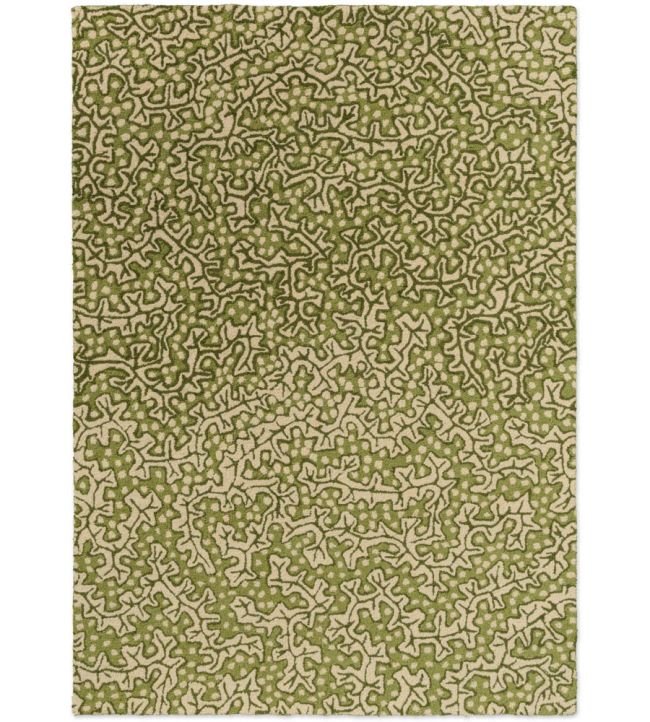 Truffle Rug in Olive by Sanderson | Jane Clayton