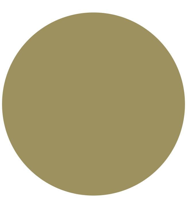 Morris & Co Twining Vine Chalky Matt Paint | Jane Clayton