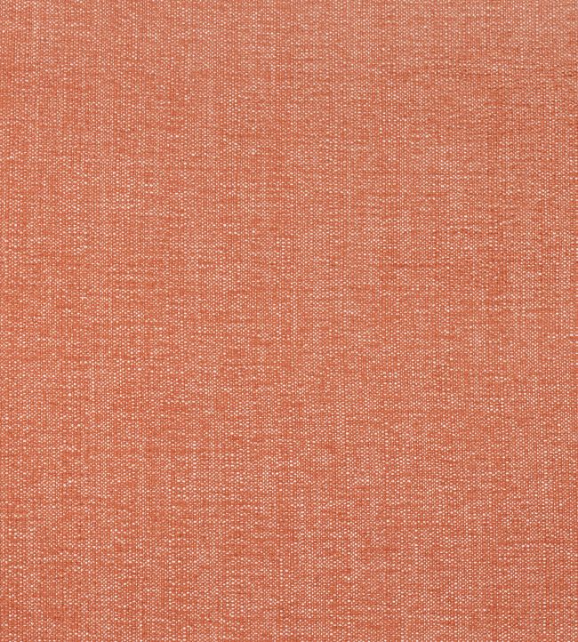 Veda Fabric in Terracotta by Thibaut | Jane Clayton
