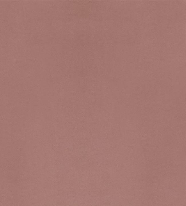 Velluto Fabric in Tea Rose by Designers Guild | Jane Clayton