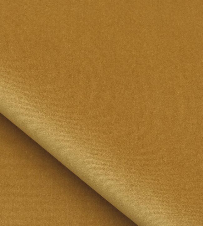 Velours Elio Fabric in Gold by Nobilis | Jane Clayton