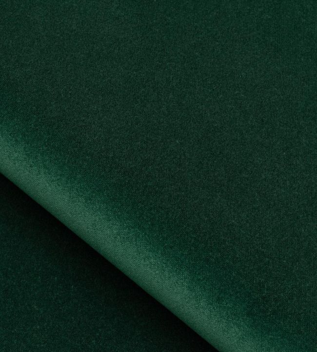 Velours Elio Fabric in Forest Green by Nobilis | Jane Clayton