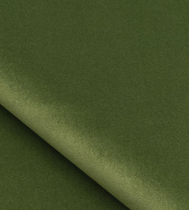 Velours Elio Fabric in Olive by Nobilis | Jane Clayton
