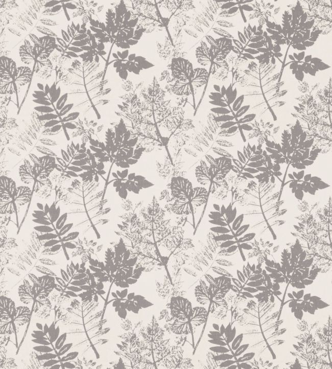Asplin Fabric by Villa Nova in Bramble | Jane Clayton