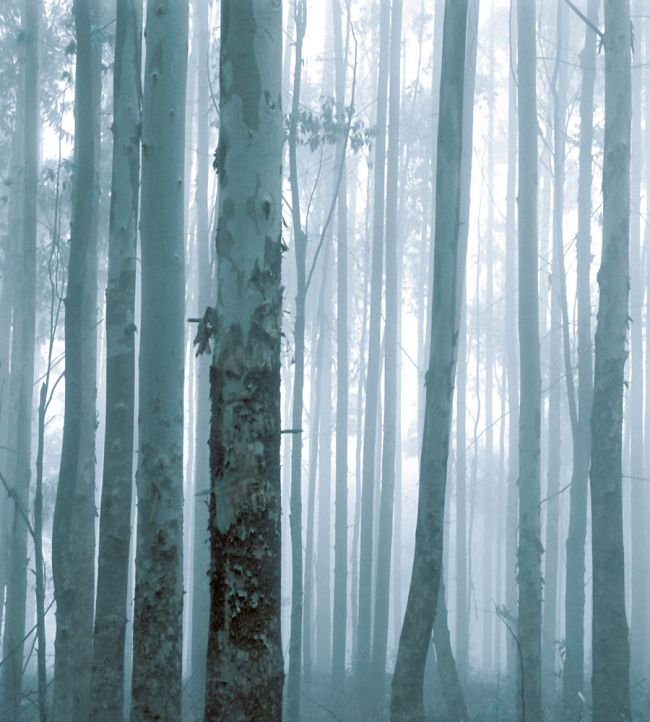 Backwoods Wallpaper Mural in Grey/Silver by Eijffinger | Jane Clayton