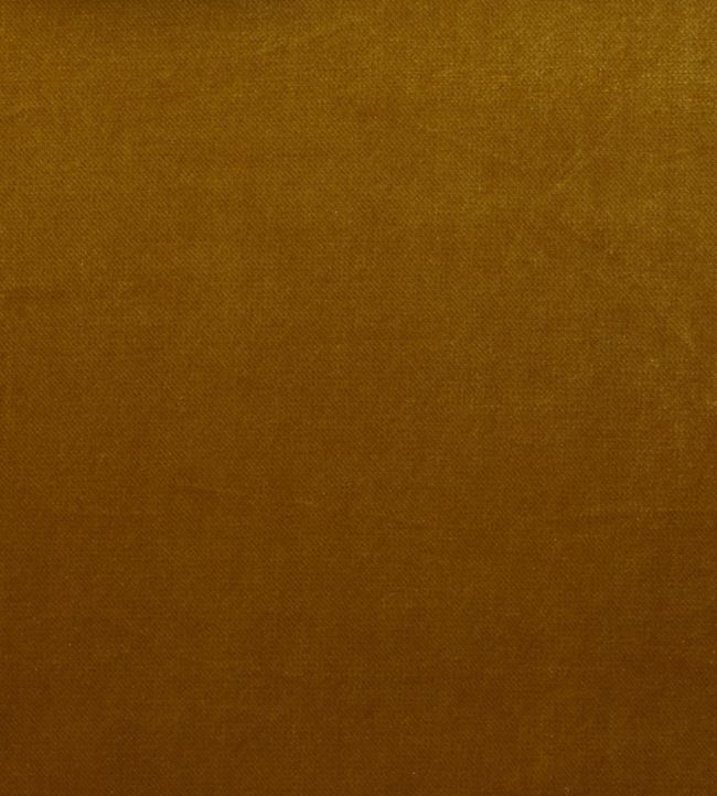 Mystic Fabric by Warwick in Gold | Jane Clayton