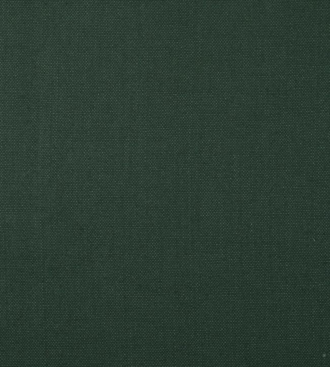 Slubby Linen II Fabric by Warwick in Forest | Jane Clayton
