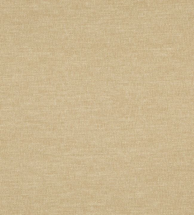 Splash Fabric by Warwick in MAIZE | Jane Clayton