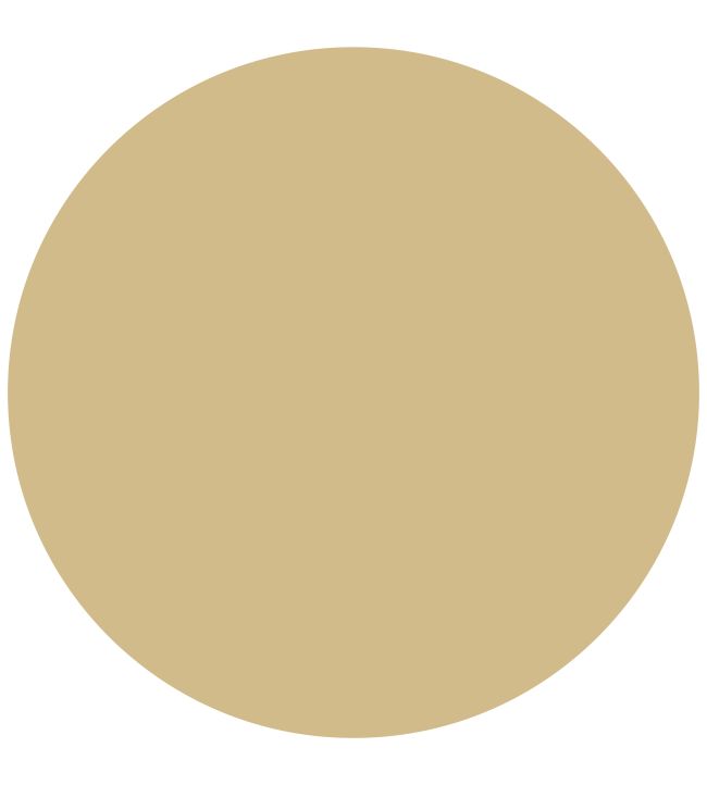 Sanderson Wheat Active Emulsion Paint | Jane Clayton