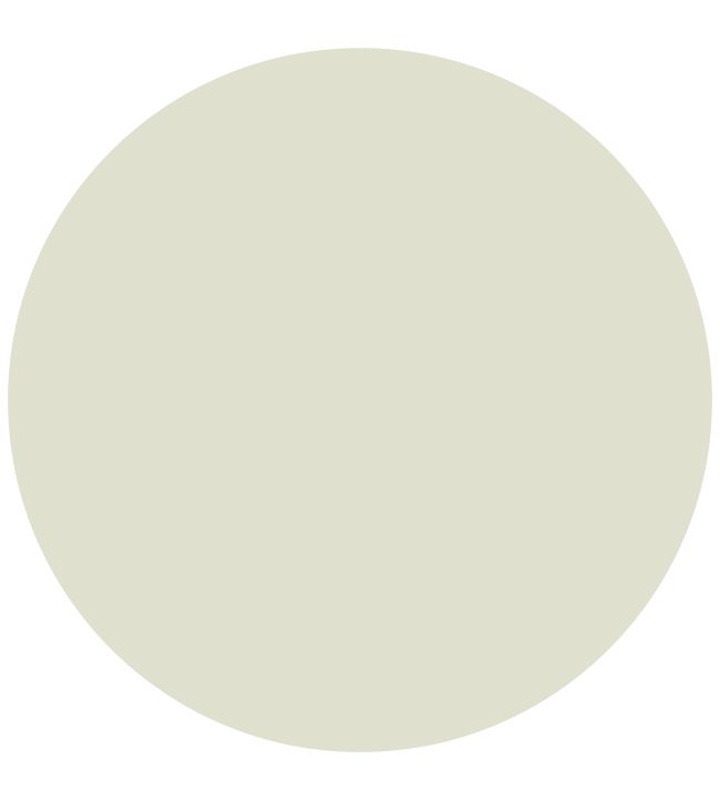 Sanderson White Willow Active Emulsion Paint | Jane Clayton