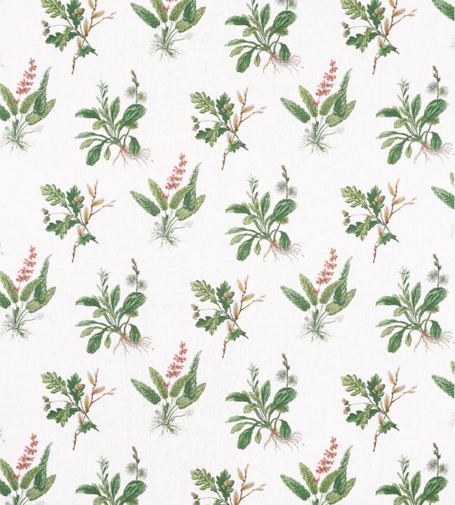 Woodland Fabric in Green & Blush by Anna French | Jane Clayton