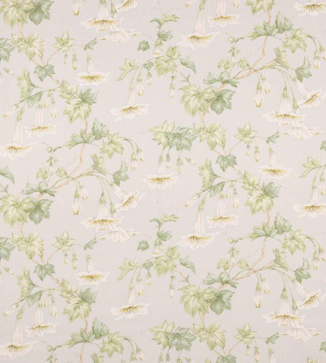 Yvette Fabric in Old Blue by Colefax and Fowler | Jane Clayton