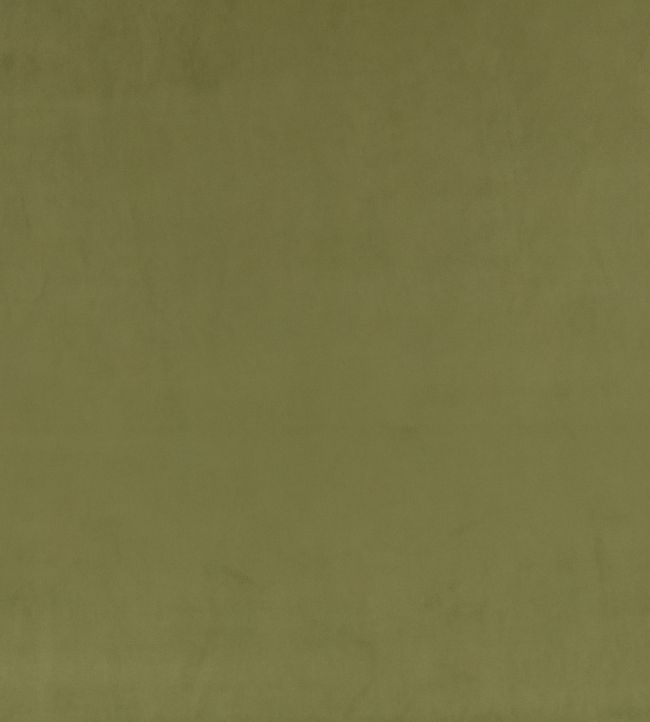 Z Suede Fabric in Cypress by Zinc | Jane Clayton