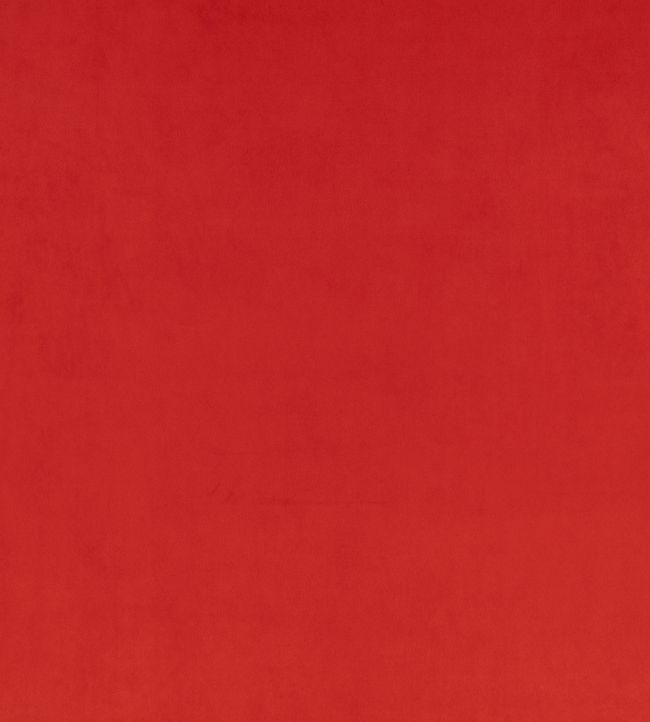 Z Suede Fabric in Dragon by Zinc | Jane Clayton