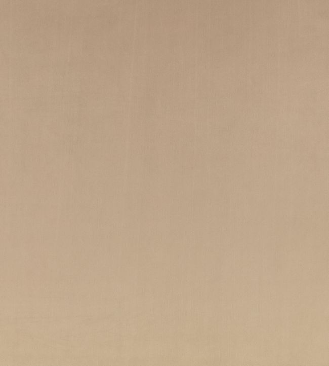 Z Suede Fabric in Driftwood by Zinc | Jane Clayton