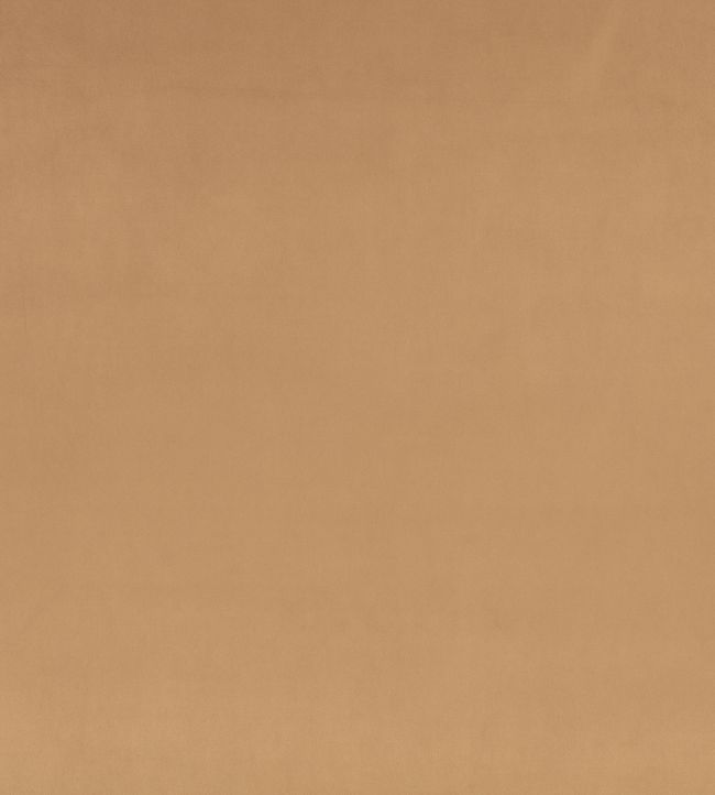 Z Suede Fabric in Truffle by Zinc | Jane Clayton