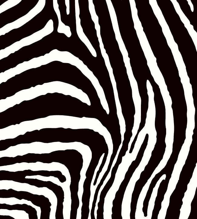 Zebra Fabric in Classic by Arley House | Jane Clayton