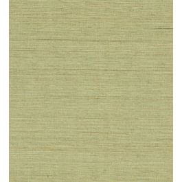 Abaca Wallpaper in Green by Nobilis | Jane Clayton