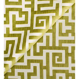 Apollon Fabric in Lime by Jim Thompson | Jane Clayton