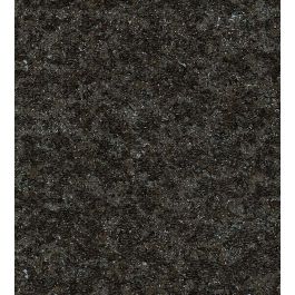 Bearded Leopard Wallpaper in Blackened Blue by Moooi | Jane Clayton