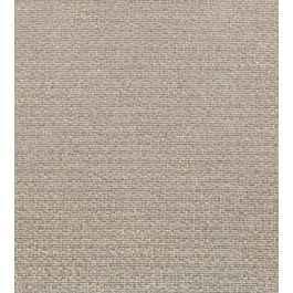 Benetti Fabric in Doeskin by Black Edition | Jane Clayton