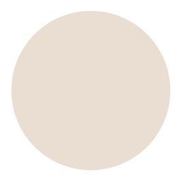 Broken White Paint in Broken White by Craig & Rose | Jane Clayton