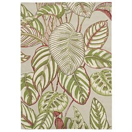 Calathea Rug by Sanderson in Olive | Jane Clayton