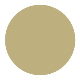 Sanderson Caraway Green Active Emulsion Paint | Jane Clayton