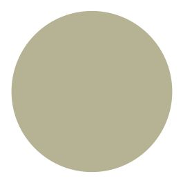 Mylands Chester Square No.199 Paint | Jane Clayton