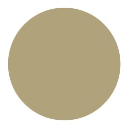 Morris & Co Citrus Stone Chalky Matt Paint | Jane Clayton