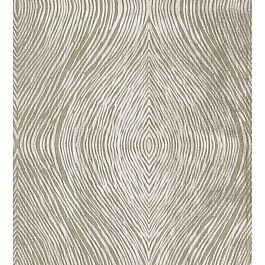 Luster Fabric by Clarke & Clarke in Mocha | Jane Clayton