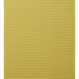 Scala Fabric by Clarke & Clarke in Chartreuse | Jane Clayton