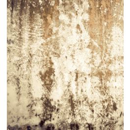 Crystal Fabric in Golden Brown by Arley House | Jane Clayton