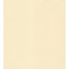 Curtain Lining - Ivory Linings in Ivory by Whyte & Ivory | Jane Clayton