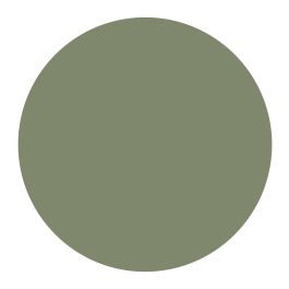 Deep Adam Green Paint in Deep Adam Green by Craig & Rose | Jane Clayton