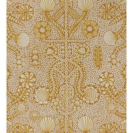 Shell Grotto Fabric by Fermoie in Lemon | Jane Clayton