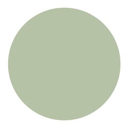 Sanderson Green Grotto Active Emulsion Paint | Jane Clayton