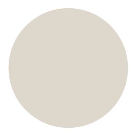 Sanderson Grey Birch Light Active Emulsion Paint | Jane Clayton