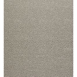 Shagreen Silk Fabric by James Hare in Cowrie | Jane Clayton