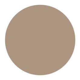 Kashmir Beige Paint in Kashmir Beige by Craig & Rose | Jane Clayton