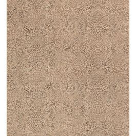 Margay in Sienna by Osborne & Little | Jane Clayton