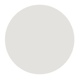 Craig & Rose Pantry White Paint | Jane Clayton