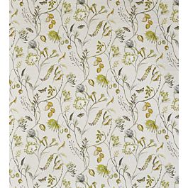 Grove Fabric by Prestigious Textiles in Fennel | Jane Clayton