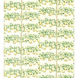 Perry Pears Fabric by Sanderson in Ochre/Leaf Green | Jane Clayton
