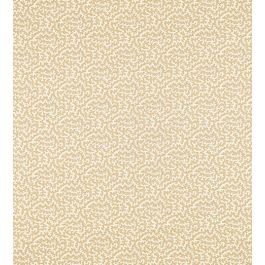 Truffle Fabric in Wheat by Sanderson | Jane Clayton